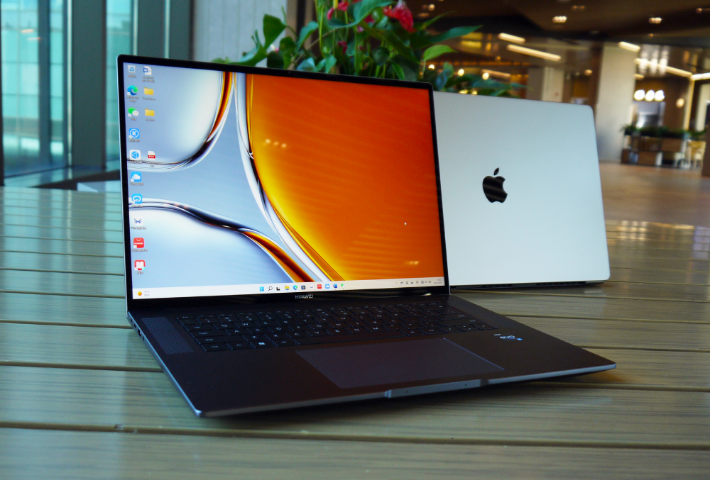 P1010030 | 爱活网 Evolife.cn