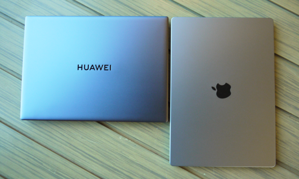 P1010040 | 爱活网 Evolife.cn